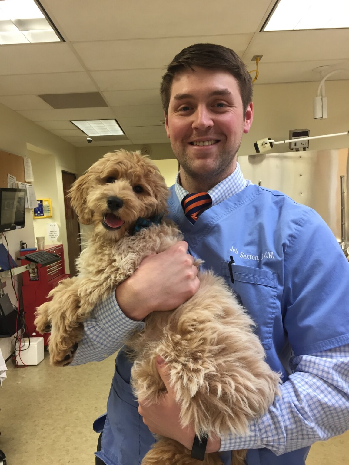 Dr. Jeb Sexton - McLean Animal Hospital - 22101